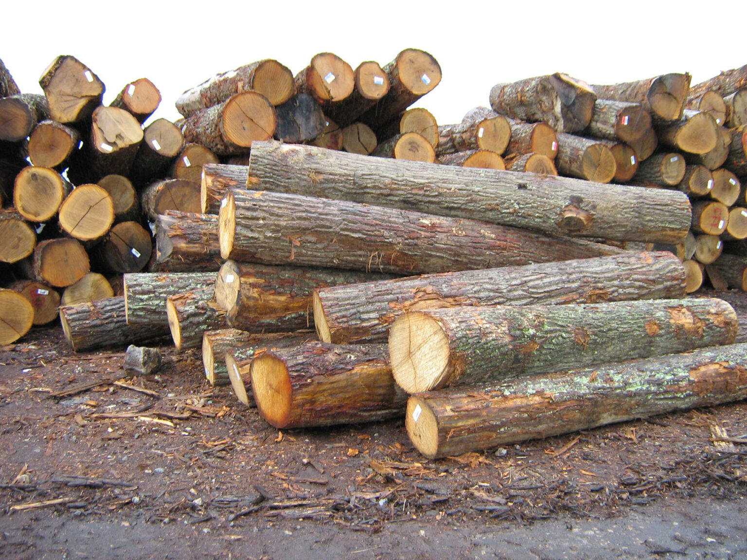 Log Yards – Graf Brothers