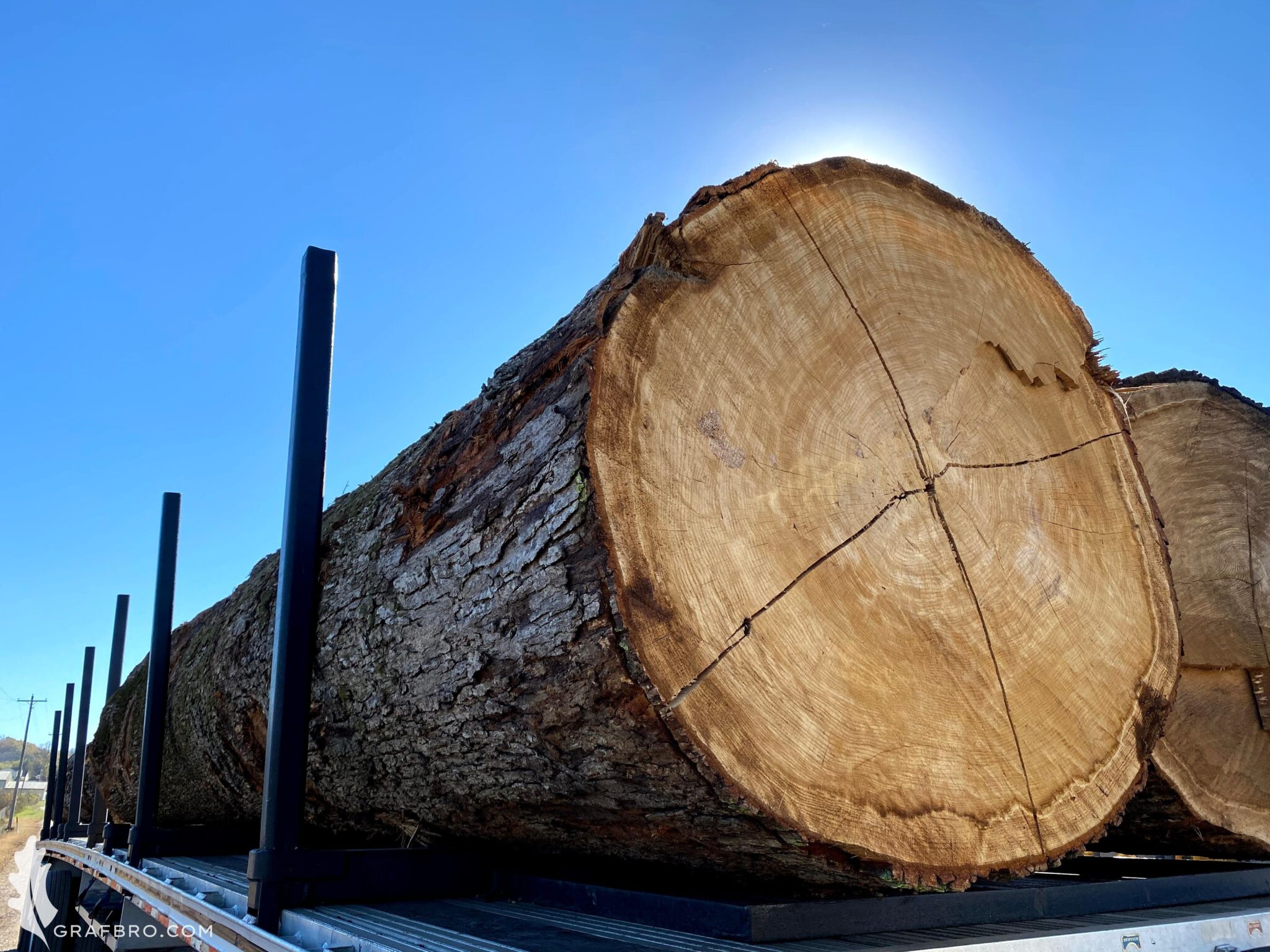 Log Yards – Graf Brothers